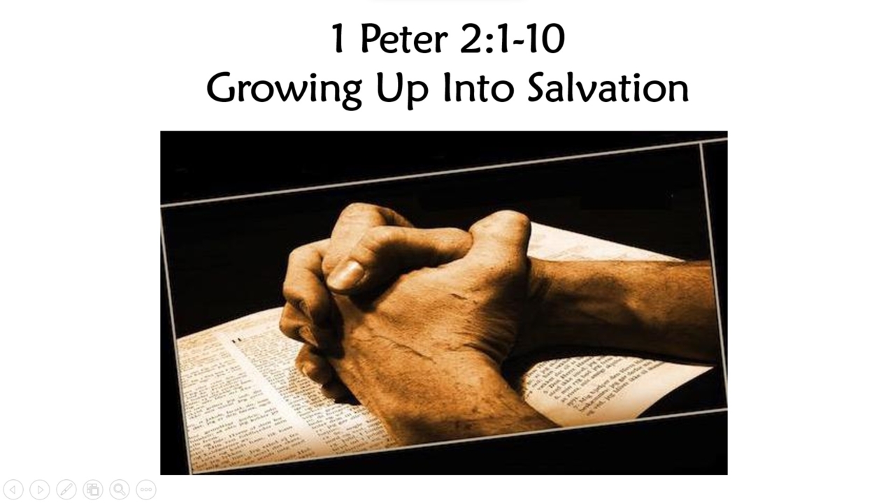 First Peter Part 3 - Level Ground