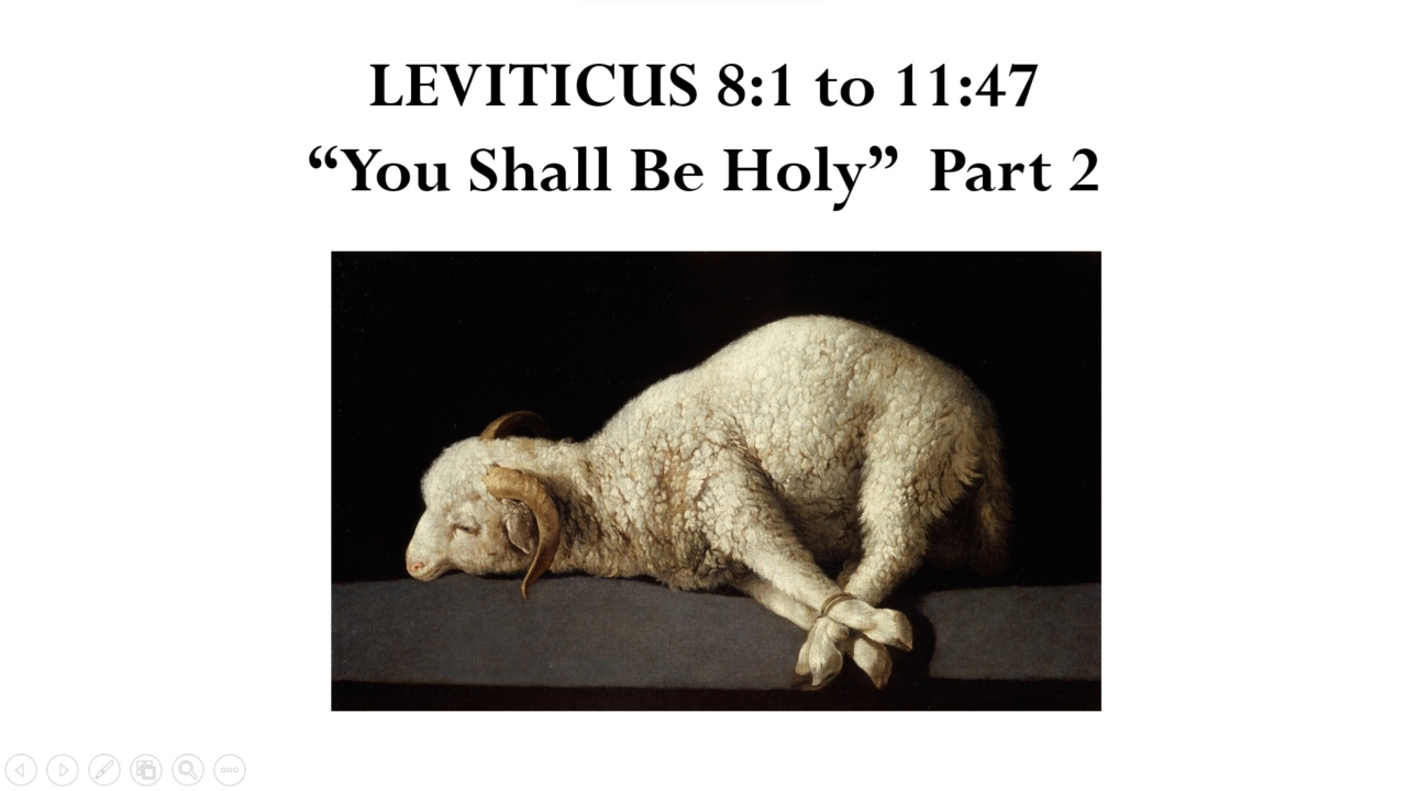 Leviticus Part 2 - Level Ground